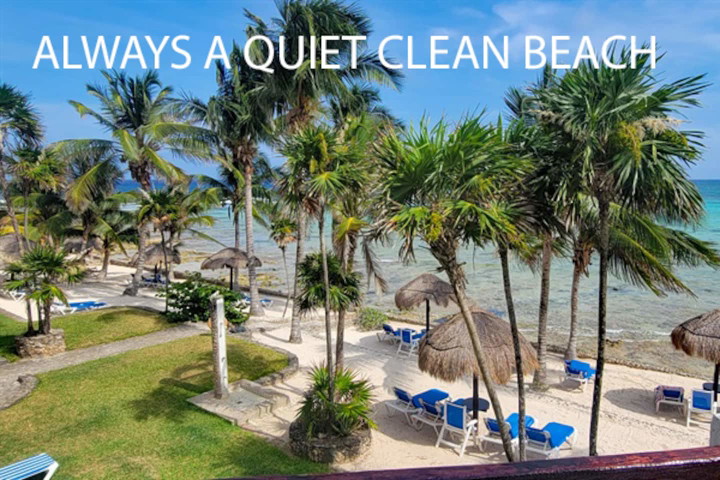 Beachfront+snorkeling+stunning Pool+gardens & Art! - Akumal