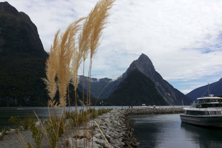 Milford Suite - Mountain View 米佛山景房 - Te Anau
