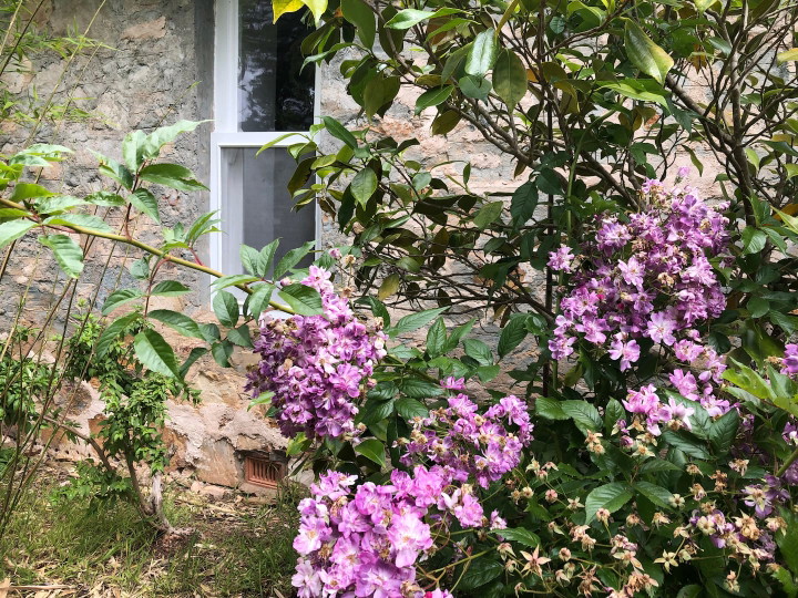 Sophies Cottage Luxurious Adelaide Hills Retreat - Stirling, SA, Australia