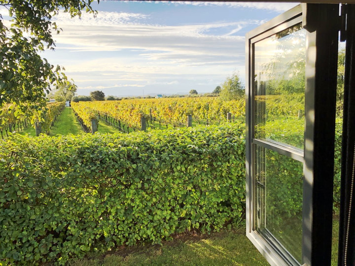 Dara Cottage Martinborough - Martinborough