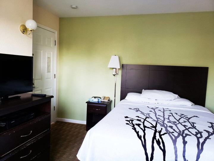Sea Girt Lodge | Standard Room One Queen Bed - Point Pleasant, NJ