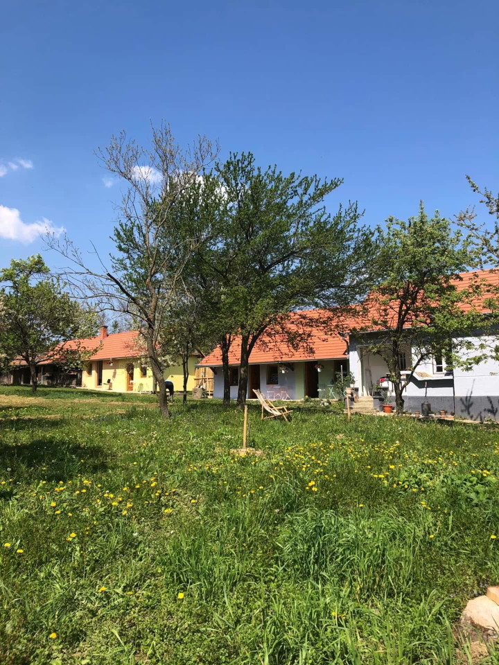 Holiday Apartment: Natural Idyll With Swimming Lake - Lenti