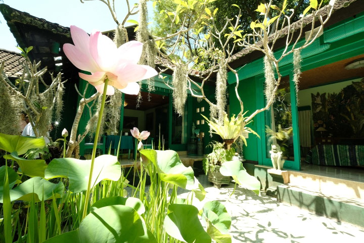 Hidden Garden In Ubud Center - Ubud