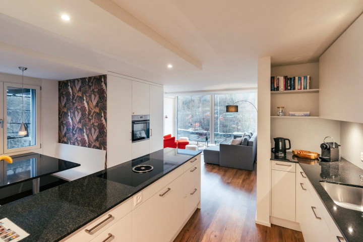 Superbe Appartement Neuf à La Périphérie De La Ville Avec Parking - Lucerne