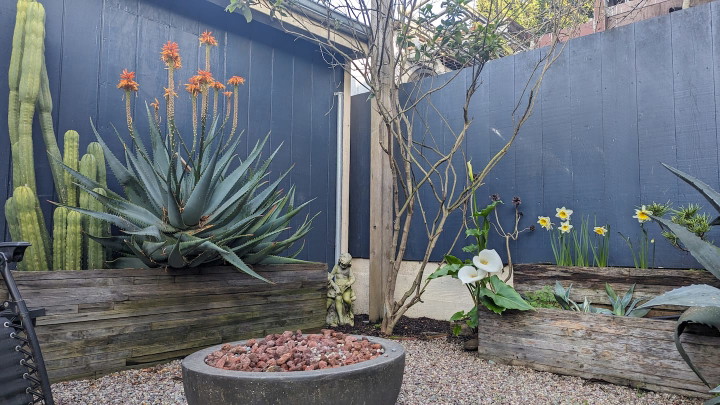 Lush 1-bedroom Suite With Free Garage Parking - San Francisco, CA