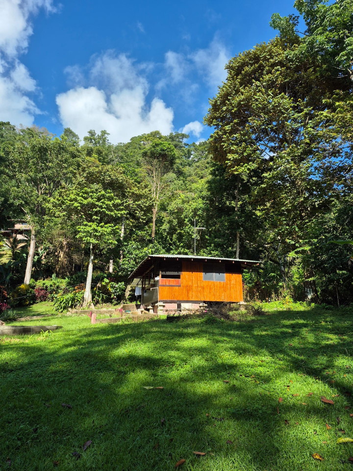 Barco Pirata Jungle & Surf Lodge  Cabo Matapalo - Costa Rica