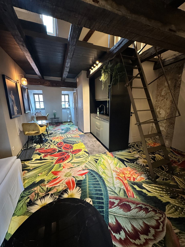 Altstadt-apartment Onyx - Regensburg