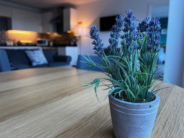 Lovely Two Bedroom Seaside Apartment - Eastbourne