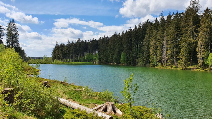 Neu! Oase Der Ruhe Auf Zwei Etagen Mit Sonne Und Charme - Goslar