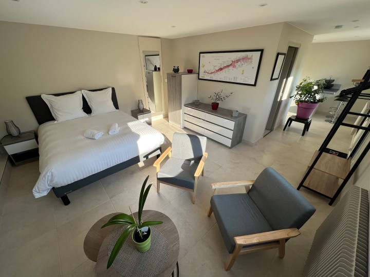 Cœur De Vigne : 32 M²,2 Prs,1 Ch,5 Min Des Vignes - Chenôve