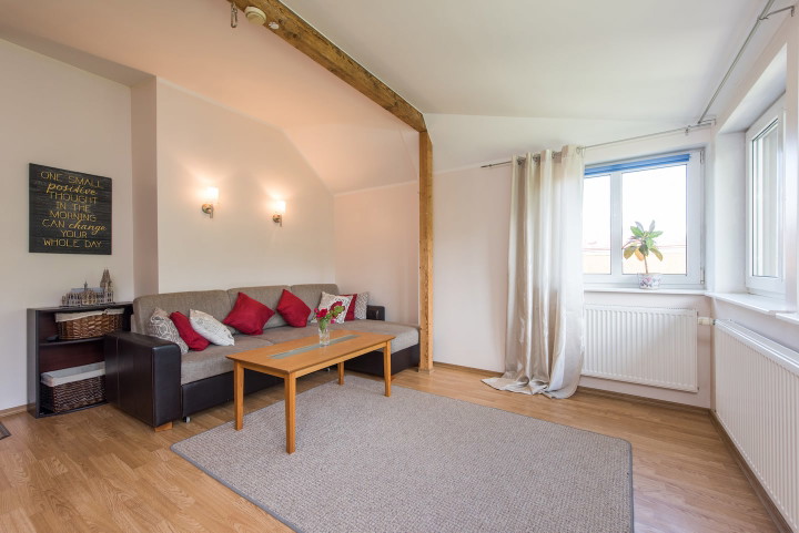 Spacious City-center Apartment With Sauna - Tallinn