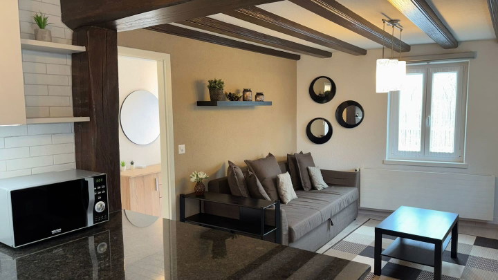 Apartment With Private Entry, Parking & Transport - Morges