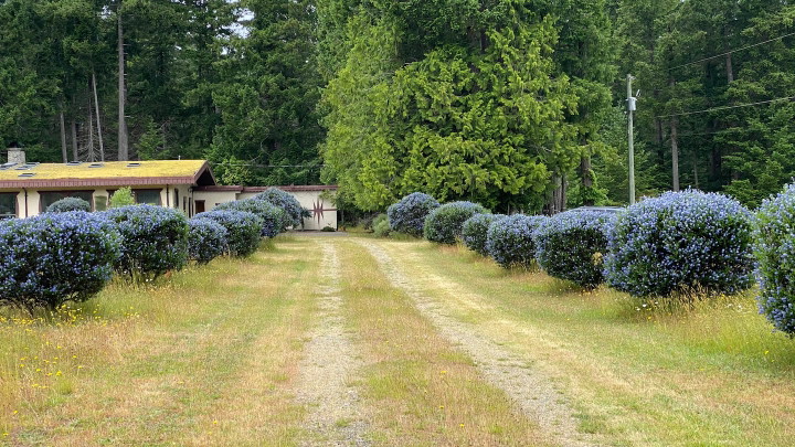 Otter Lake B&b - Hornby Island
