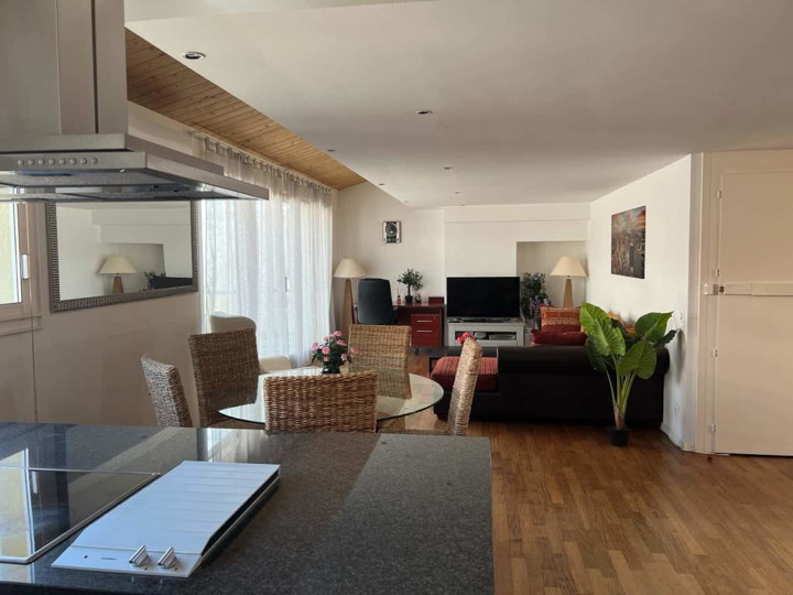 Superbe Appartement Proche Du Lac Et De La Gare - Geneva
