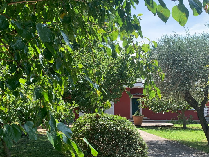 Elegant Villa In The Green, Near The Sea And Rome - Latina