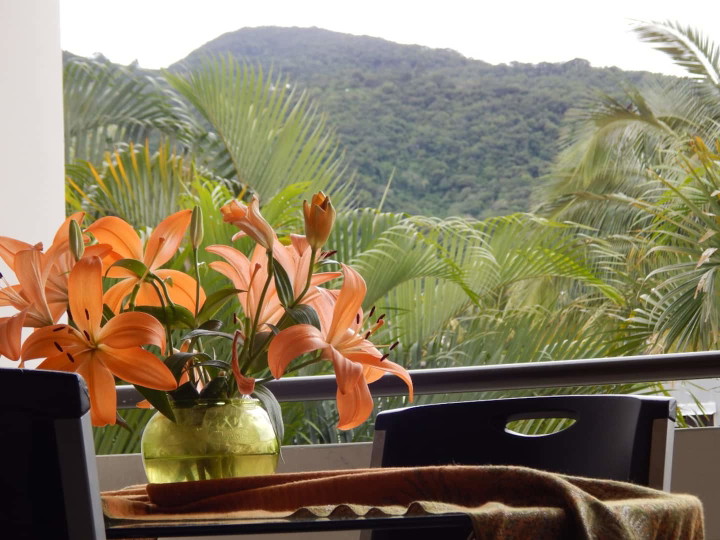 Costa Rican Vacation Space - Costa Rica