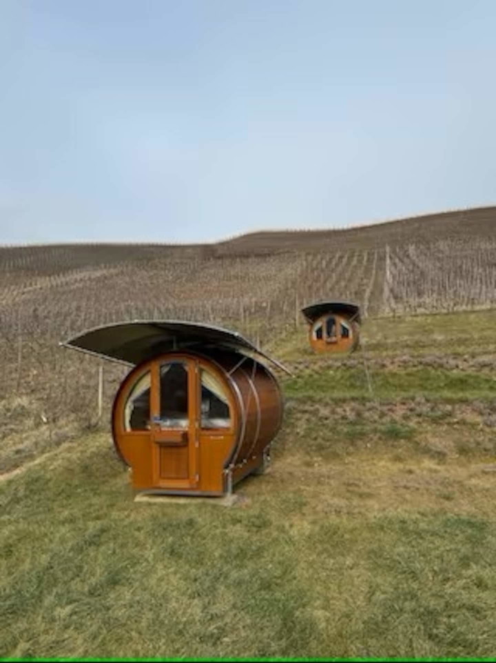 Schlaffass In Den Weinbergen - Deutschland