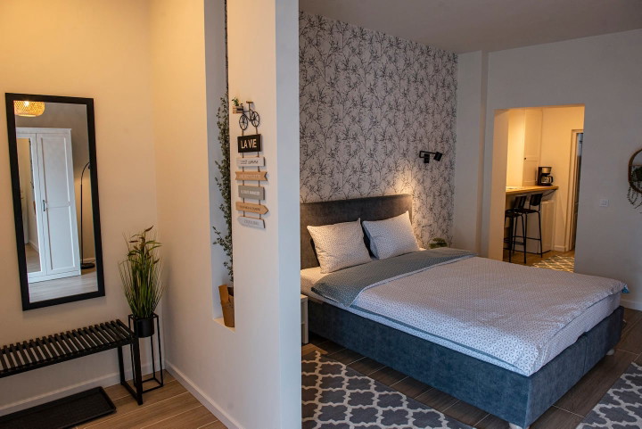 Little Guest House - Reghin