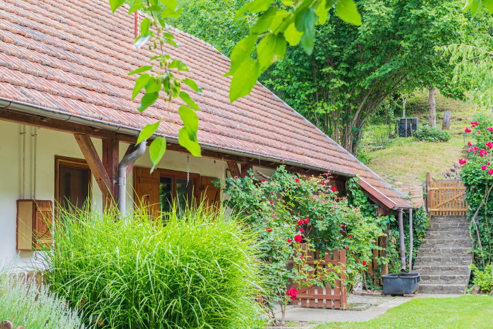 Private Forest Guesthouse In Visegrád W Panorama - Szentendre