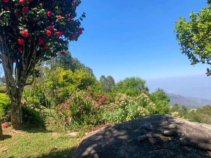 Chalet Confortable Avec Une Vue Fantastique à Bvumba ! - Zimbabwe