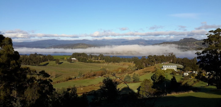 Glaziers Bay Cottage Near Cygnet - Cygnet