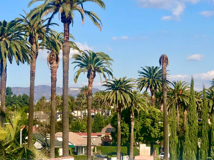 Magnifique Maison Dans Une Ferme Biologique Cachée Au Cœur De Los Angeles - West Hollywood