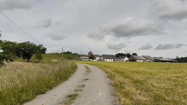 Appartement à La Ferme - Mauléon-Licharre