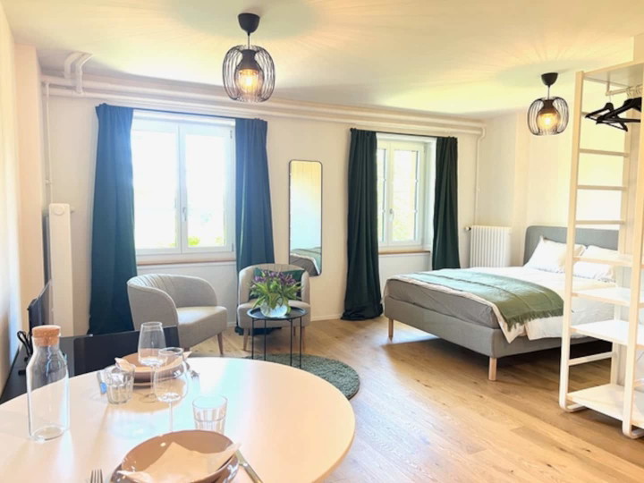 Modernes Studio In Bern "Marzili" - Bern