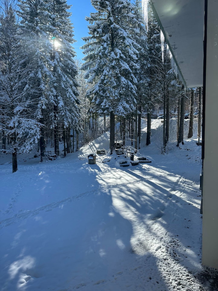 Val Di Luce Abetone Appartamento - Abetone