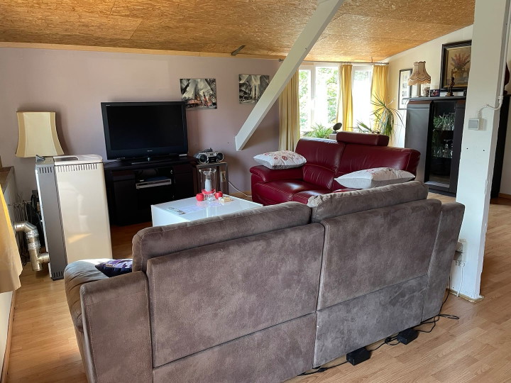 Studio Vogelzang - Westerlo
