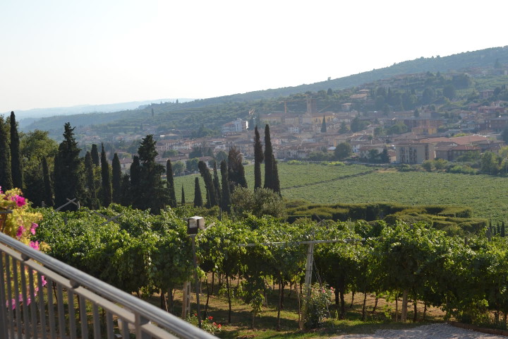 Amarone Della Valpolicella  - Sleep In The Cellar! - Lac de Garde