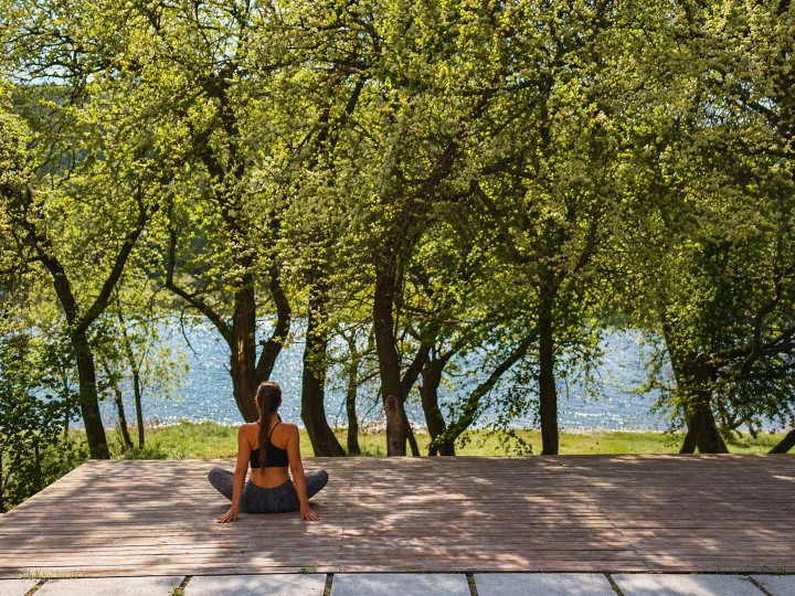 Home By The River Kisoroszi  A Home By The Danube - Visegrád