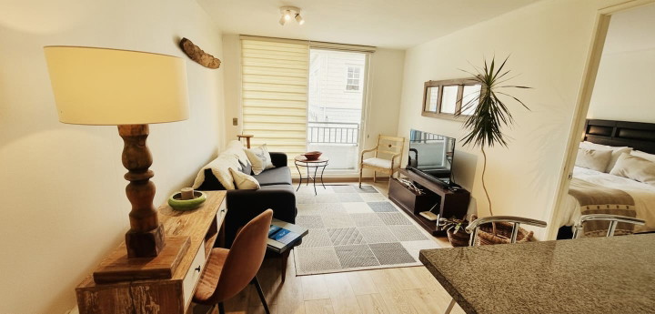 Fully Central Apartment + Parking - Chile