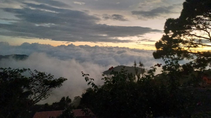 Mi Sueño Eco-lodge Farm: Coffee, Trails & Pines - El Salvador