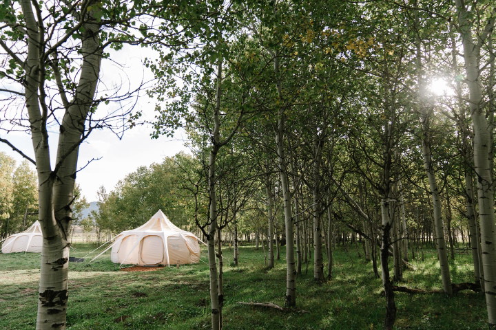 Yellowstone Luxury Family Bell Tent Sleeps 5 - Island Park, ID