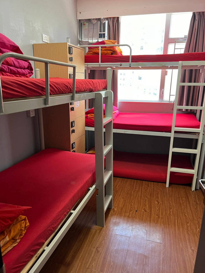 Apt.three-bedroom Apt. For 12@269 Hennessy Road - 