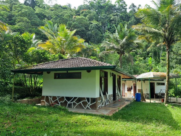 Natures Haven: Private Estate With Pool - La Vega