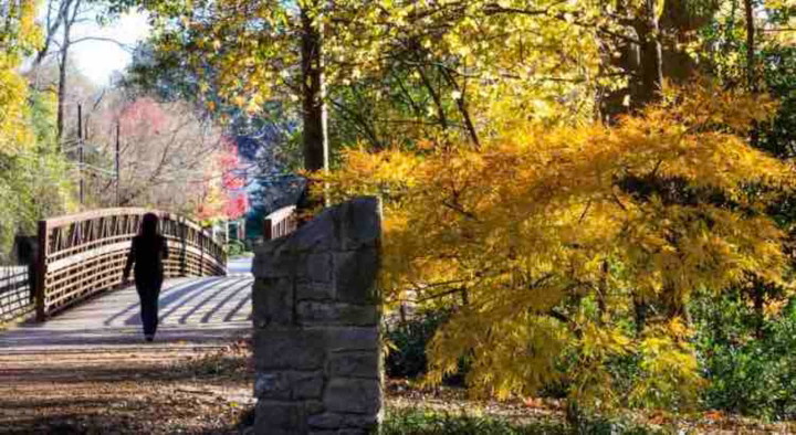 Southern Charm In Buckhead - Atlanta, GA