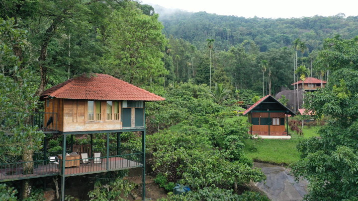 Avadale Wayanad | Standard Room - Wayanad