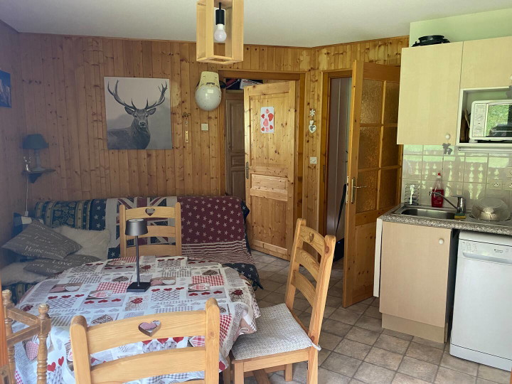 Super T2/30 M2 Au Pied Des Pistes - Châtel Linga - Châtel