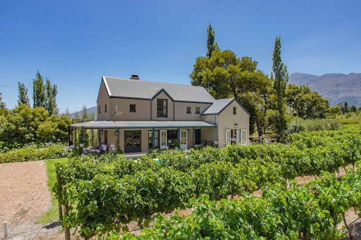 The Vineyard - Franschhoek