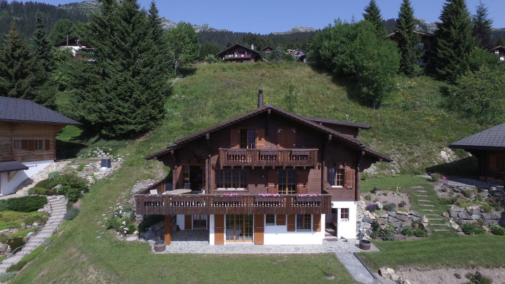 Stunning Swiss Chalet. - Villars-sur-Ollon