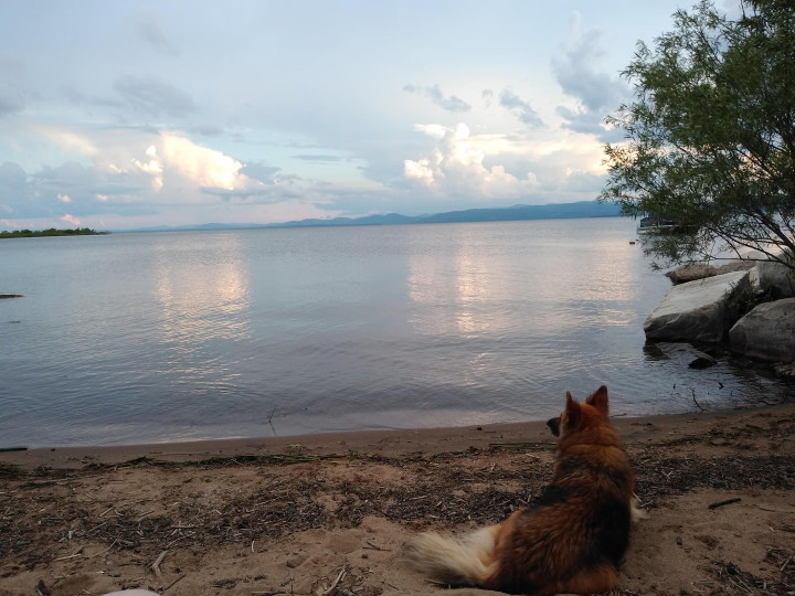 Peaceful, Private Nature & Jacuzzi Getaway - Burlington