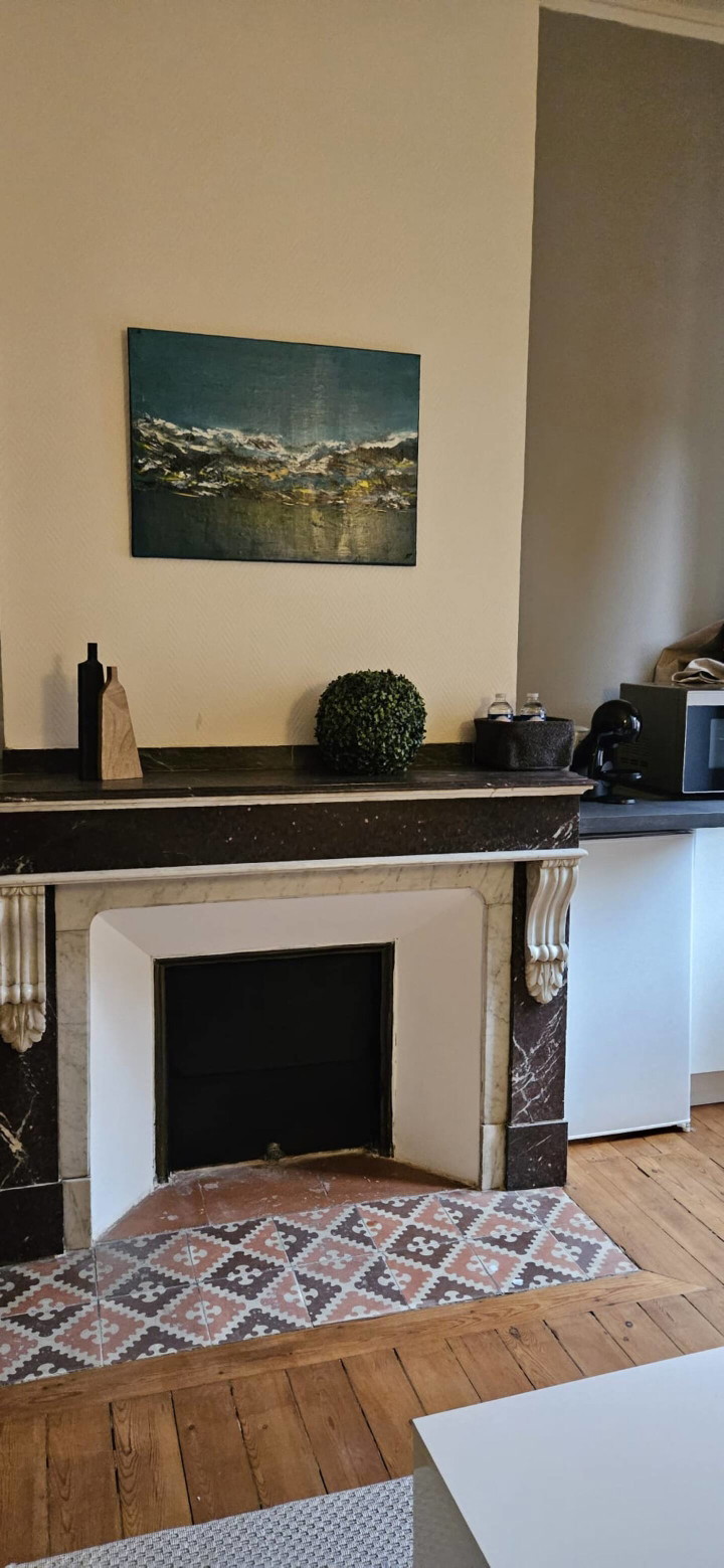 Cozy Apartment Near Capitole Very Quiet - 툴루즈