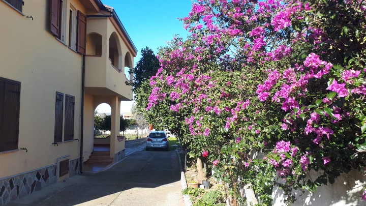 Large Apartment In Villa Only 7 Min Walk To Beach - Olbia
