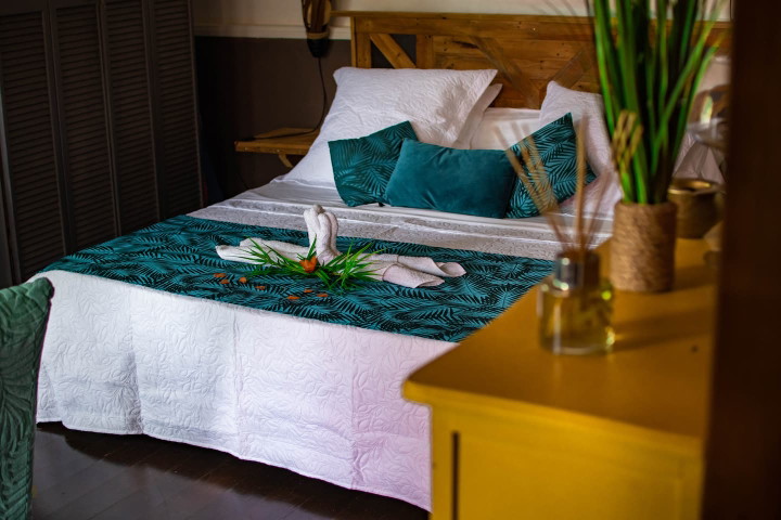 Coquet Bungalow Dans Un Beau Jardin - Martinique