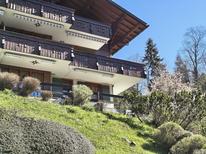 El Balcón Des Diablerets - Les Diablerets