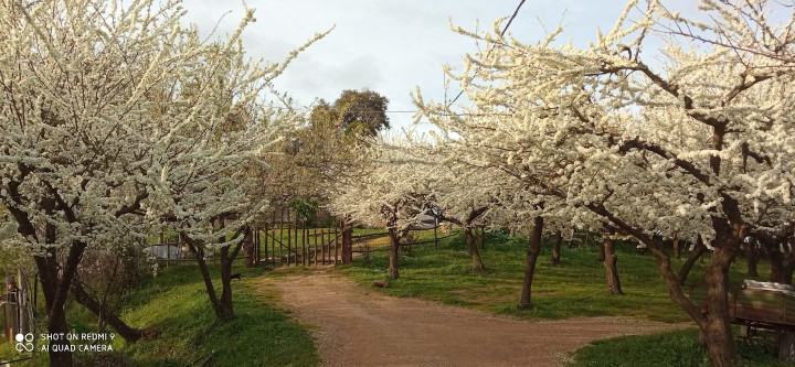 A Pleasant Country House With A Barbecue "Huerta El Cano" - Spain