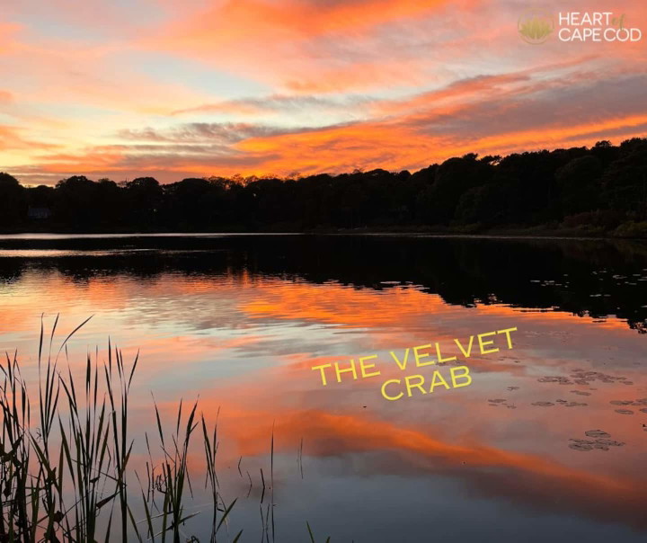The Velvet Crab~dog Frndly/great Location! - Wellfleet, MA