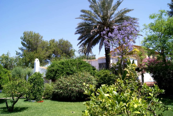 Mediterrane Villa With Private Pool - Alicante